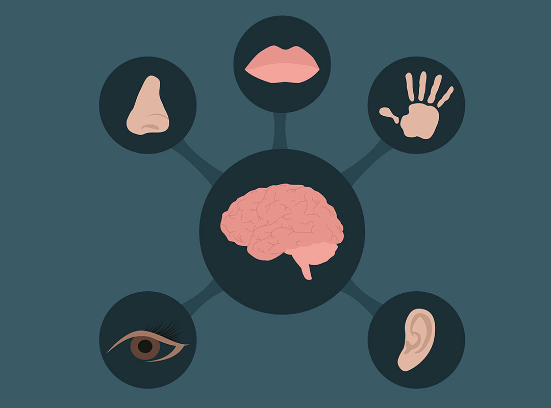 Stiinta ne atribuie 9 simturi, nu cinci: vom descoperi care sunt ele ...